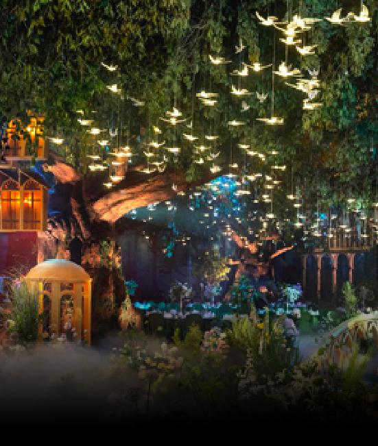 MUSE Awards - International Design Awards & Competition